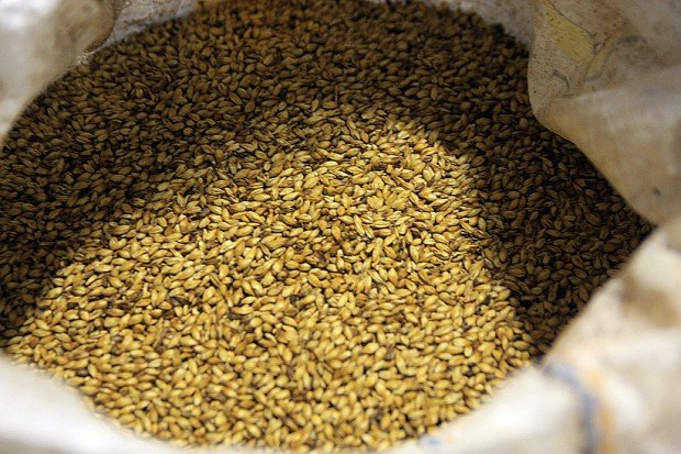 Maltear, la fábrica de maltas | Vision Gourmet