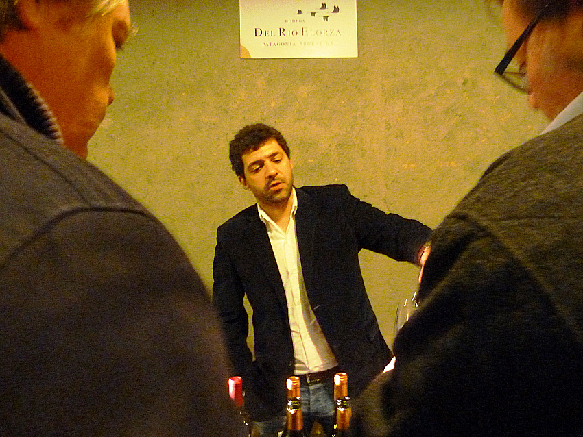 Volvieron los vinos del Sur | Vision Gourmet